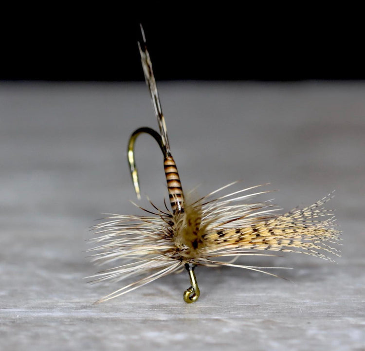Tao of Flies Blogs – The Tao of Flies