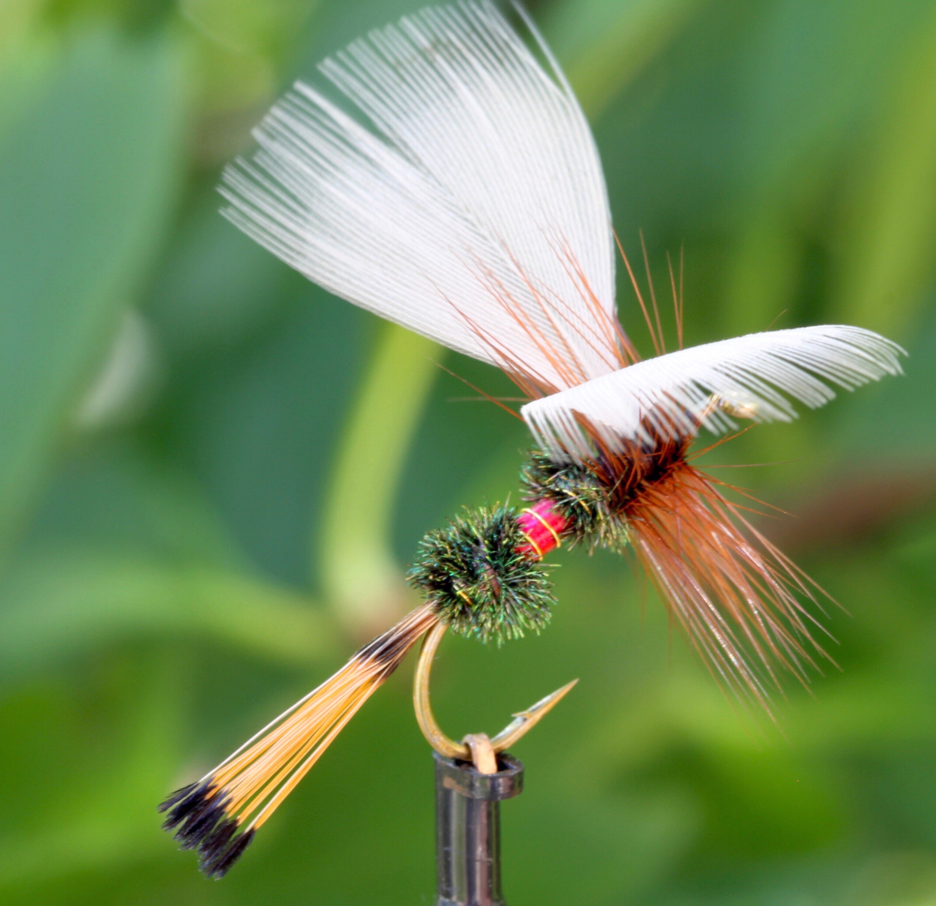 Tao of Flies Blogs – The Tao of Flies